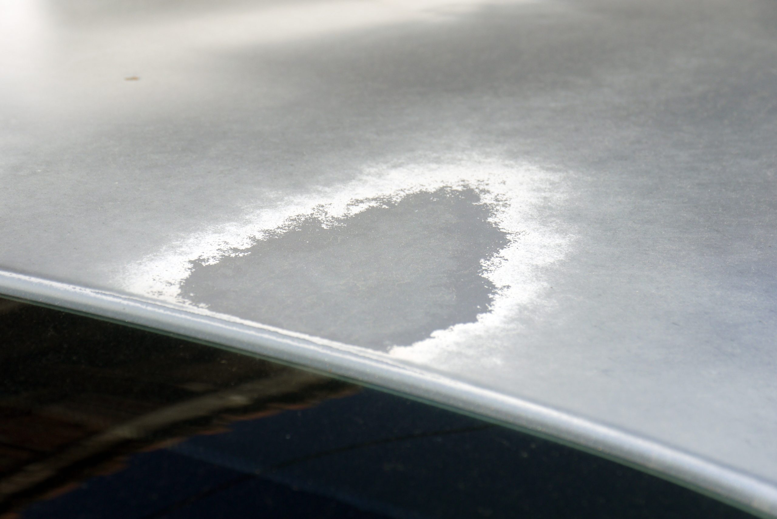 How to Protect Your Car from Bird Poop | Nasiol